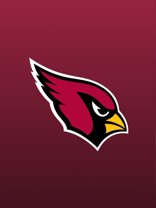 Shop Official Arizona Cardinals Gear, Apparel, & Merchandise | Arizona ...